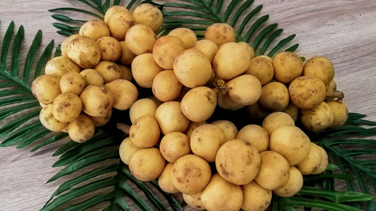 A Beginner’s Guide to Seasonal Thai Fruits - Thailand Foundation