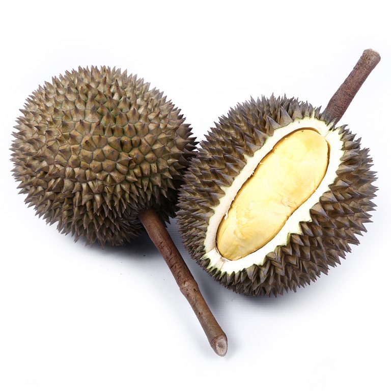A Beginner’s Guide to Thai Durians - Thailand Foundation